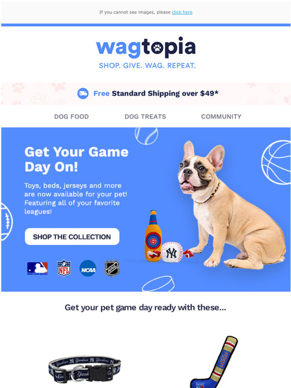 Wagtopia: Introducing: Game Day Pet Gear | Milled
