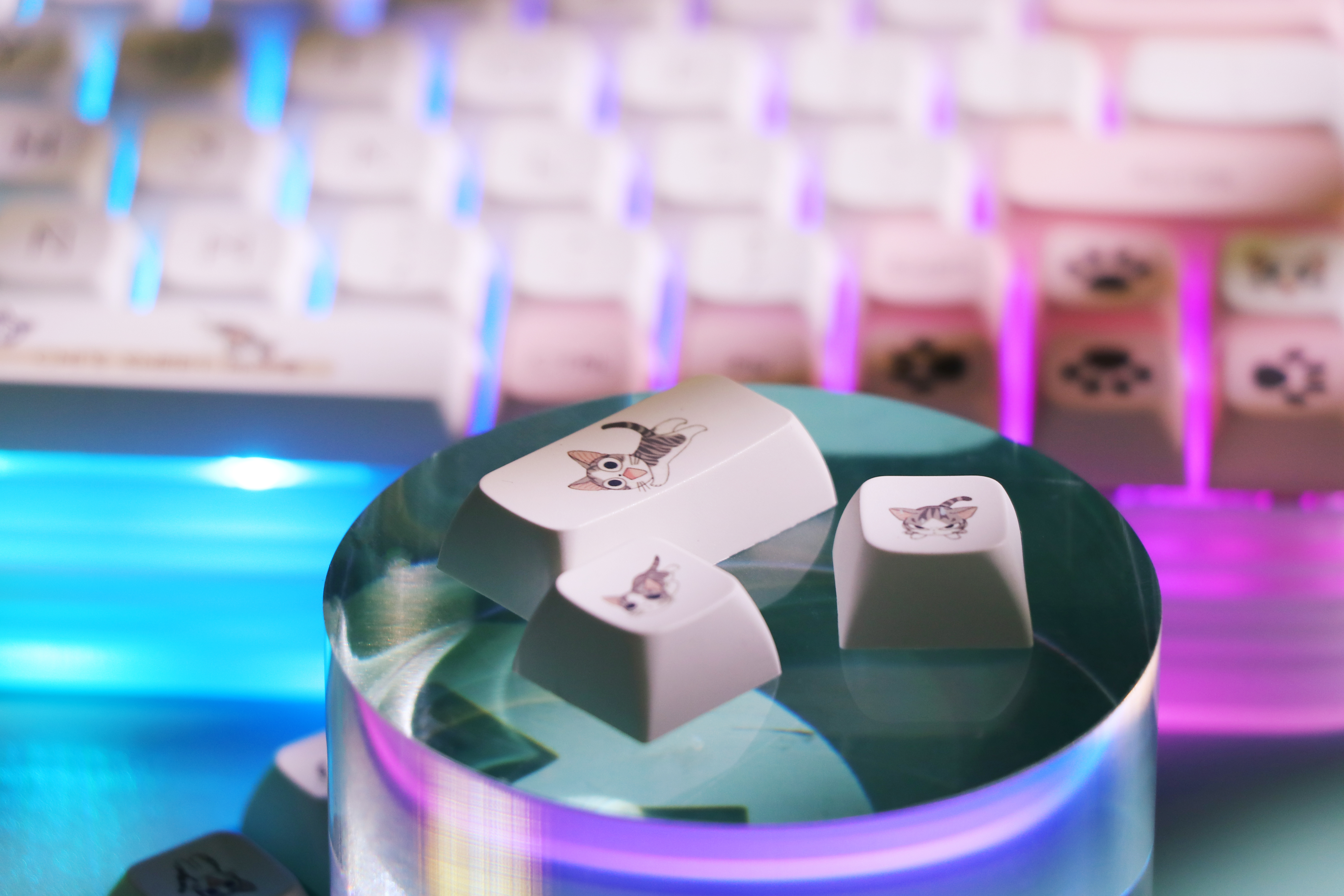 Epomaker: Available NOW Epomaker Mini Cat 64 Group Buy is Launched | Milled