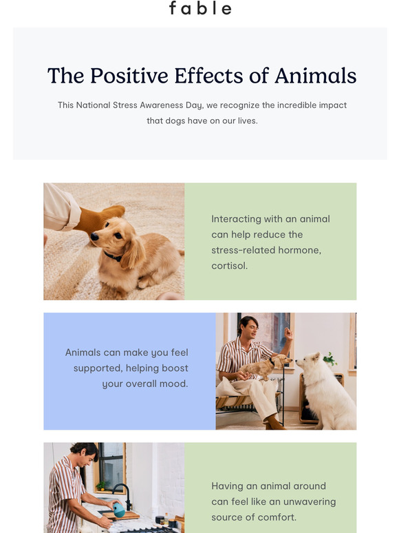 Fable Pets: These facts might surprise you | Milled