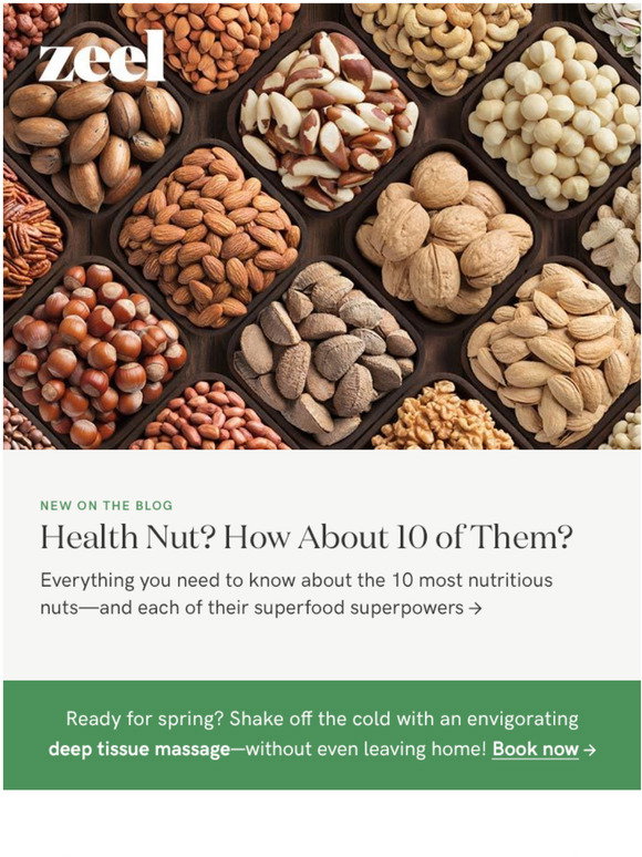 Zeel: The Top 10 Most Nutritious Nuts to Add to Your Diet Today | Milled
