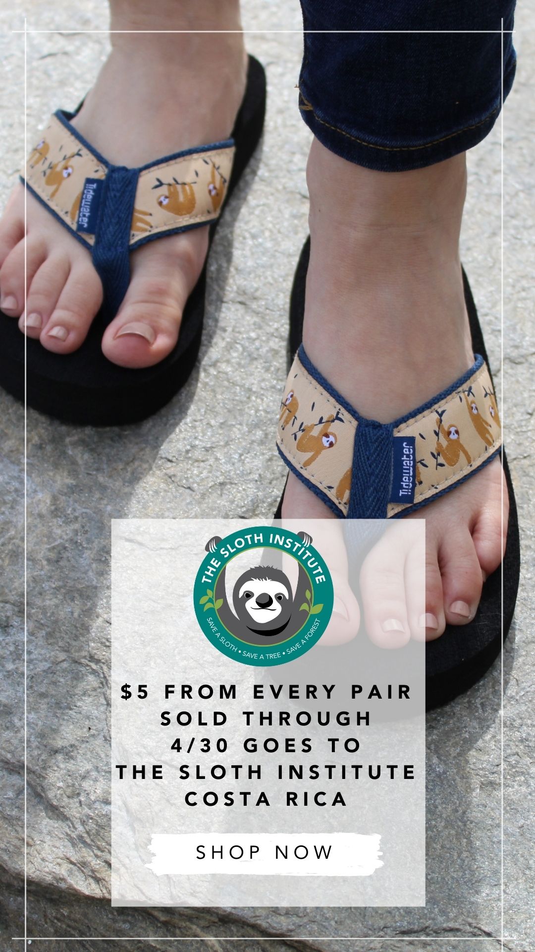 Tidewater Sandals: Sloth Flip Flops: Saving the sloths one step at a ...