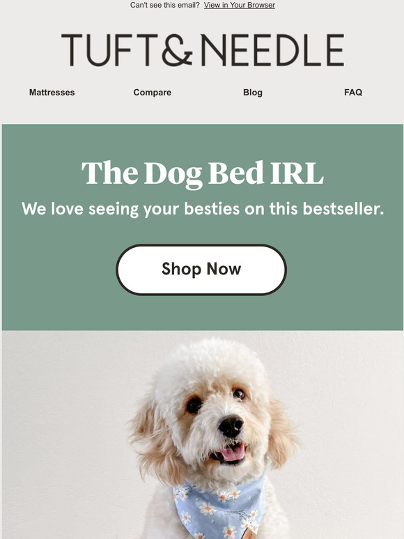 Tuft and Needle: Cute dogs inside | Milled