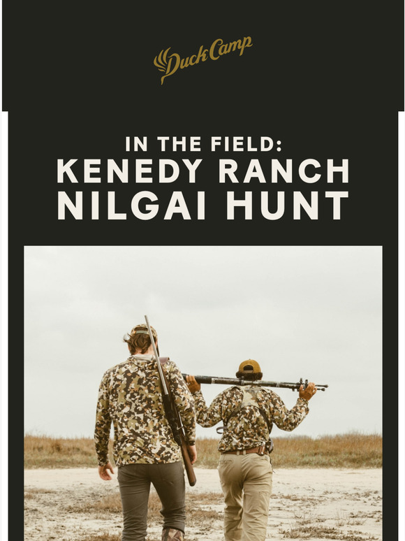 Duck Camp: In The Field: Kenedy Ranch Nilgai Hunt | Milled