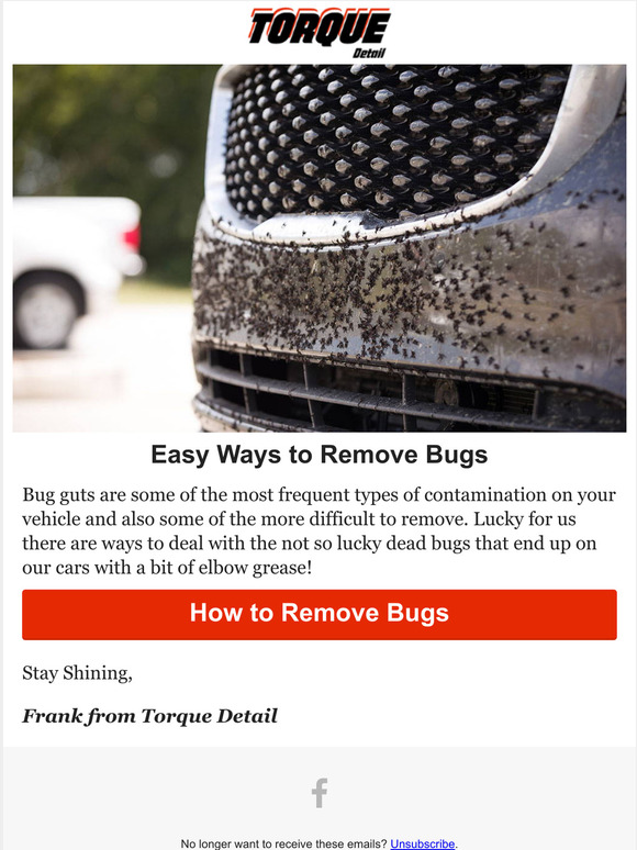 Torque Detail: Easily Remove BUGS From Your Paint | Milled