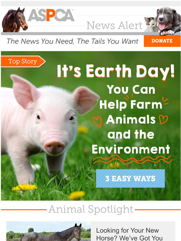 ASPCA: Take Action This Earth Day! | Milled