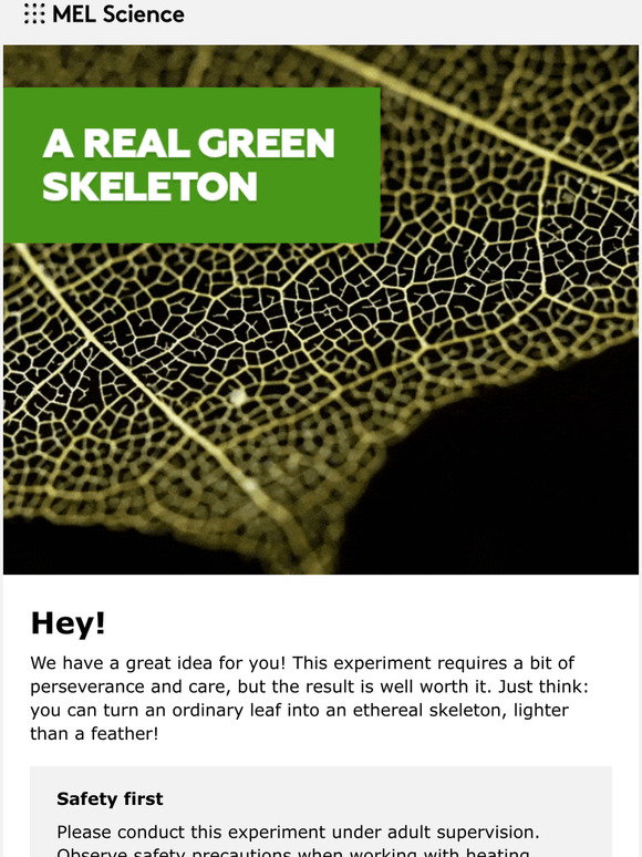 MEL Science: Turn a leaf into a skeleton! | Milled