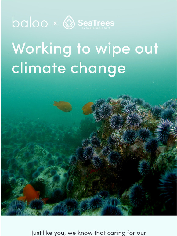 Baloo Living: In Honor of Earth Month | Milled