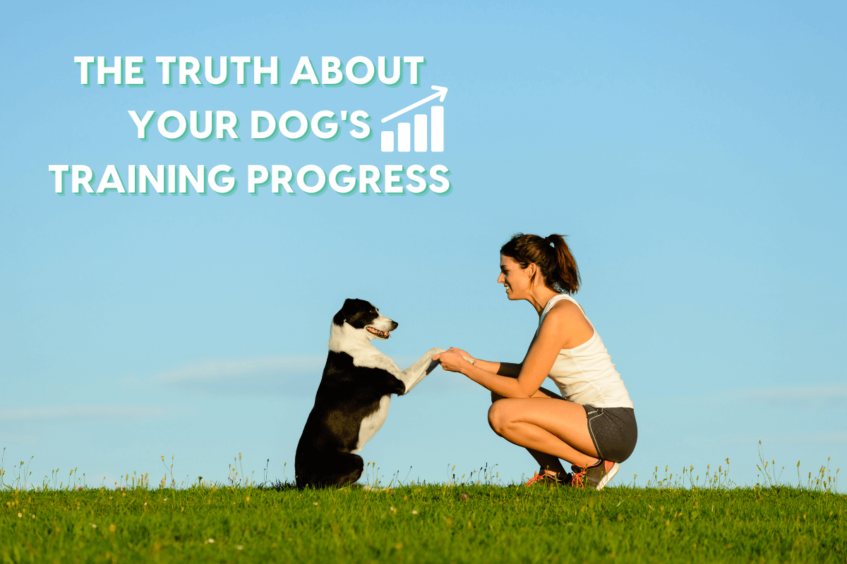 Pupford: [article] The Truth About Your Dog's Training Progress | Milled