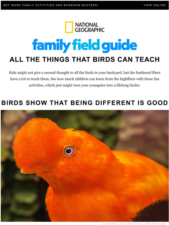 National Geographic: Bringing out the birder in your child | Milled