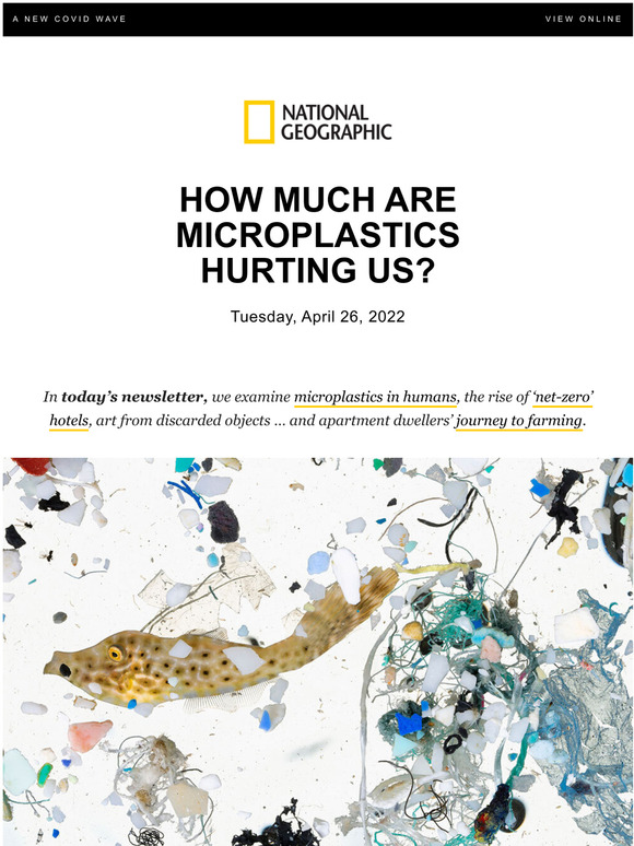 National Geographic: Are the microplastics in our bodies harmful? | Milled