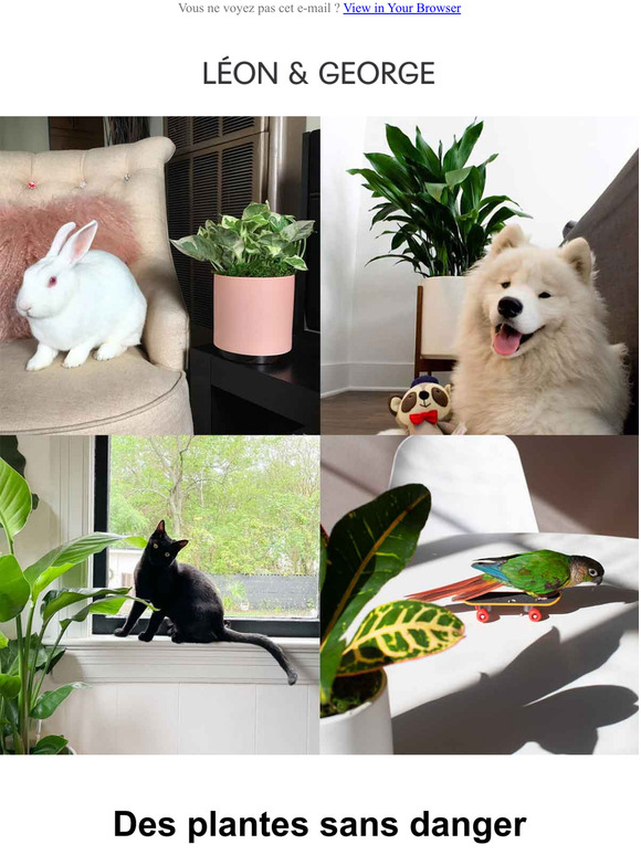 Leon & George: Les plantes et les | Milled