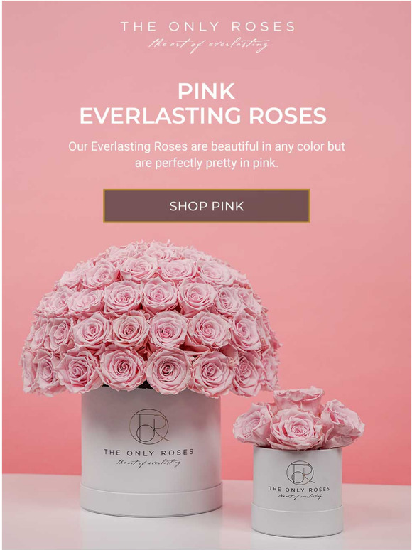 The Only Roses: OMG! You've never seen this! | Milled