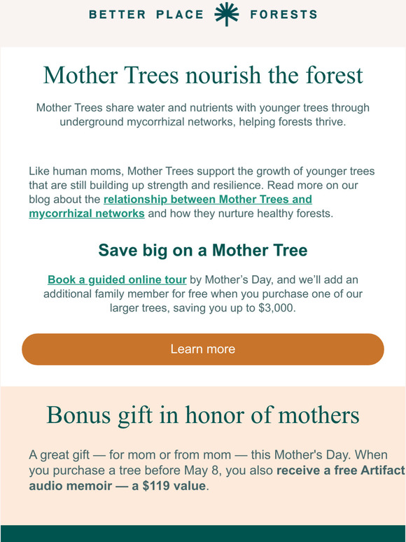 Better Place Forests: What do Mother Trees and humans have in common ...