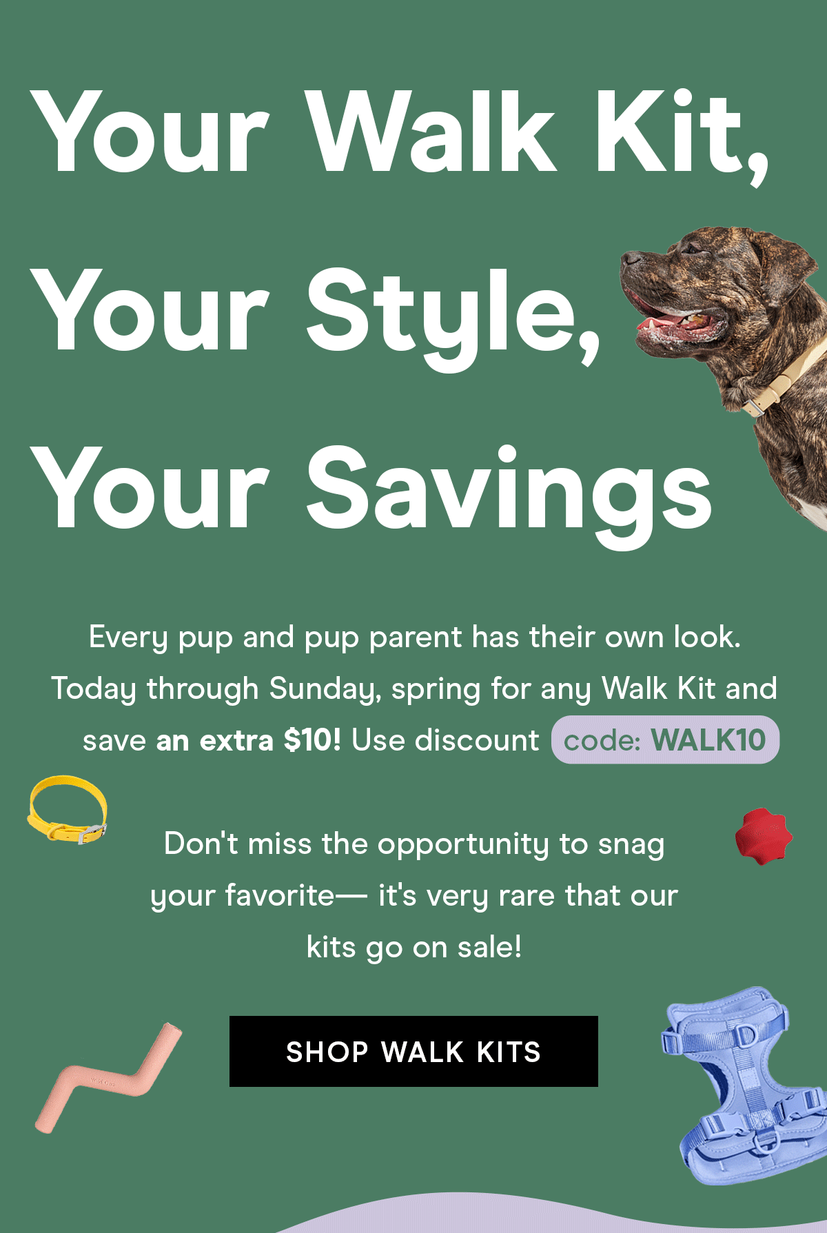 Wild One: Your favorite Walk Kits are 10% OFF! | Milled