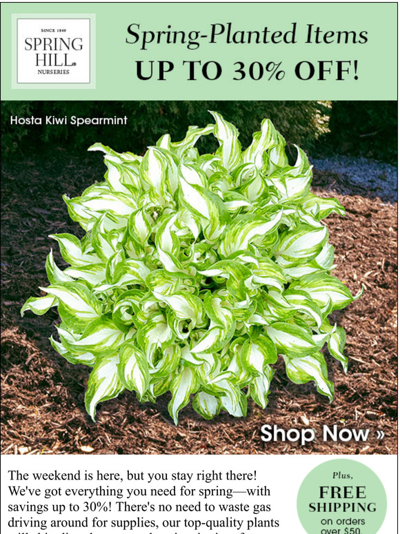 Spring Hill Nursery: Knock-Knock | Milled