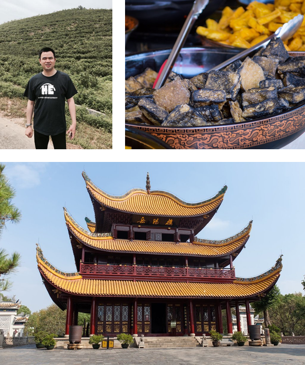 Harney & Sons: Learn All About the Chinese Hunan Tea Region | Milled