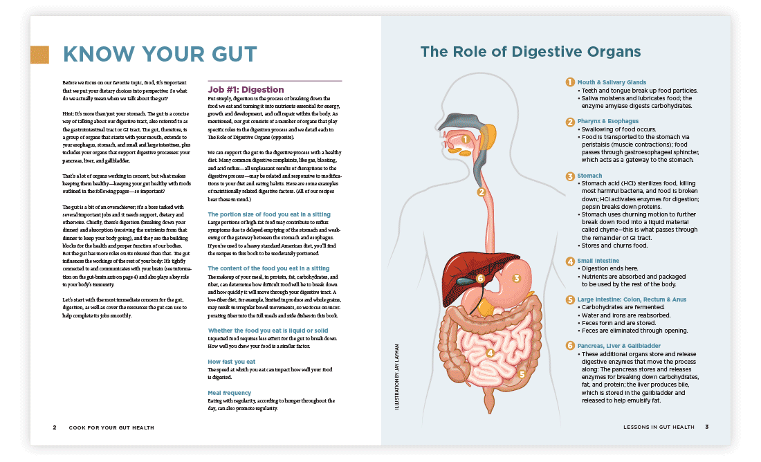 America's Test Kitchen: Did you know your gut is your second brain ...