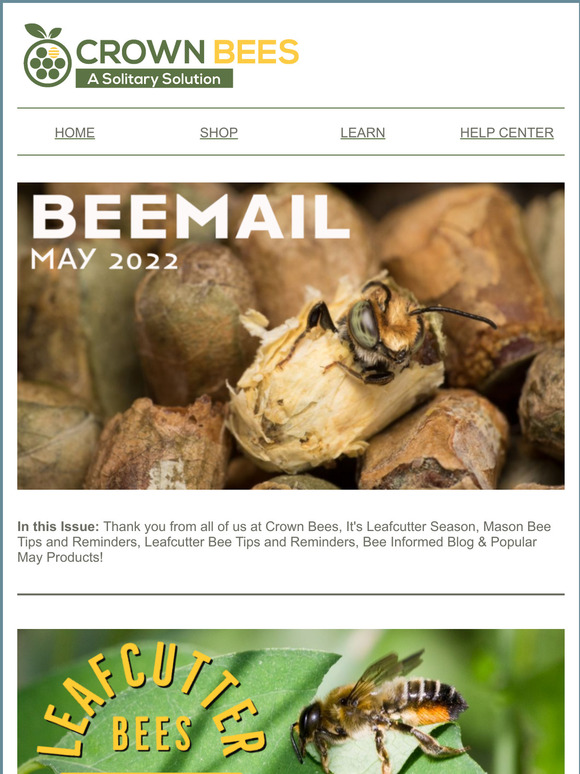 Crown Bees: Hi, -Here are your May BeeMail Tips and Reminders. | Milled