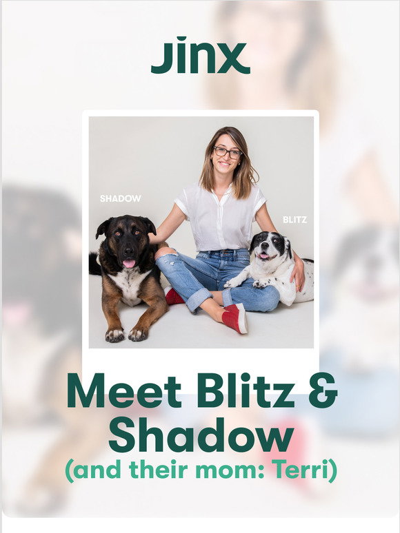 Jinx: Meet the rescue dogs that started it all | Milled