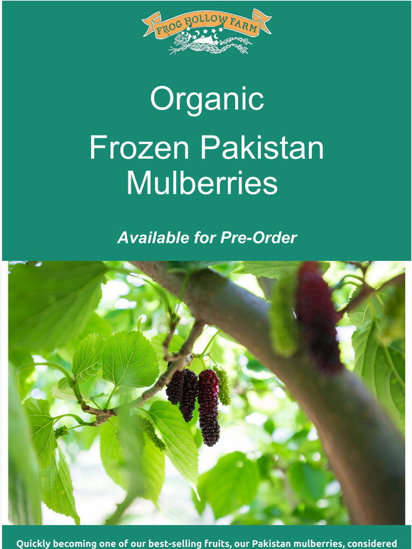 Frog Hollow Farm: NEW - Frozen Pakistan Mulberries | Pre-order this ...
