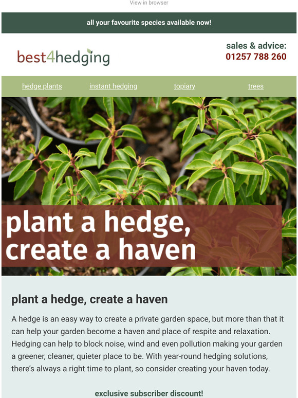 Best4hedging: plant a hedge, create a haven | Milled