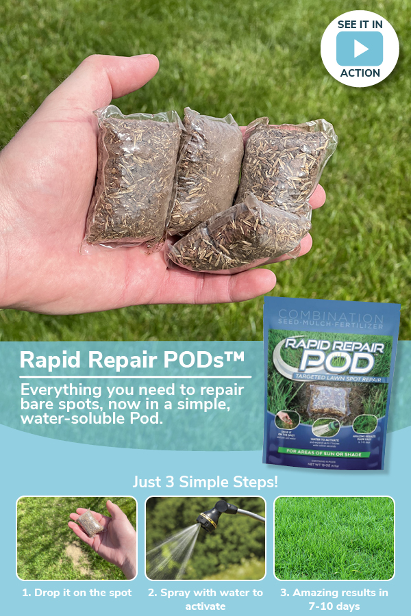 Sporty's Tool Shop: Rapid Repair Seed Pods + Wildflower Seed Blanket ...