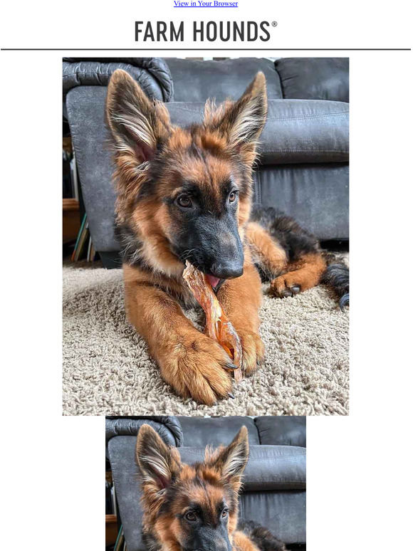 Farm Hounds: Beef Hock Tendon | Now Available | Milled