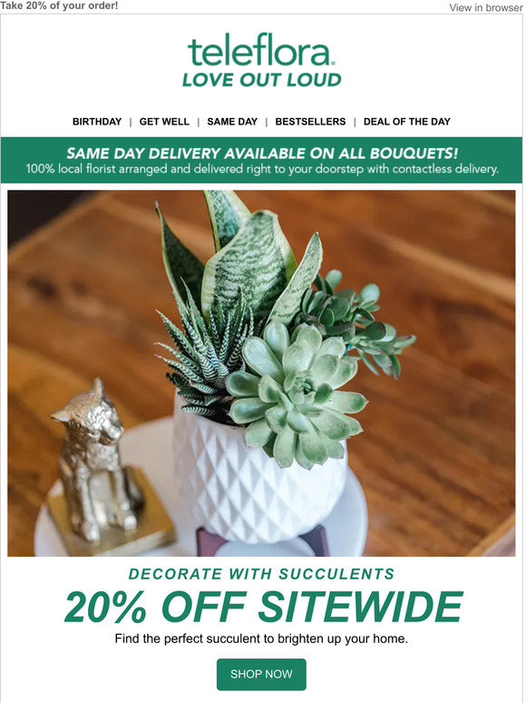 Teleflora: INSIDE: Plants, Succulents and Zen | Milled