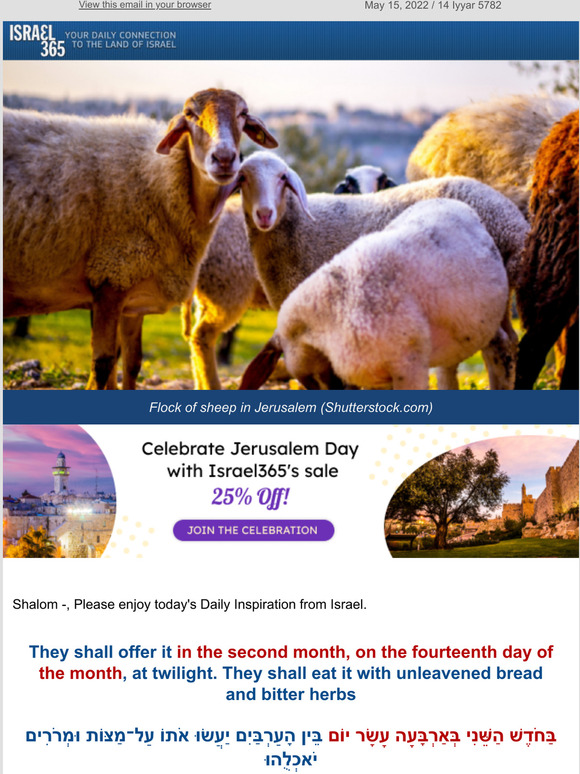 Israel365: Pesach Sheini (Second Passover): The Holiday of Second ...