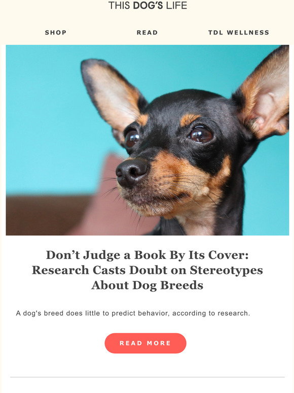 This Dog's Life: What You Missed: Stereotypes About Dog Breeds Debunked ...
