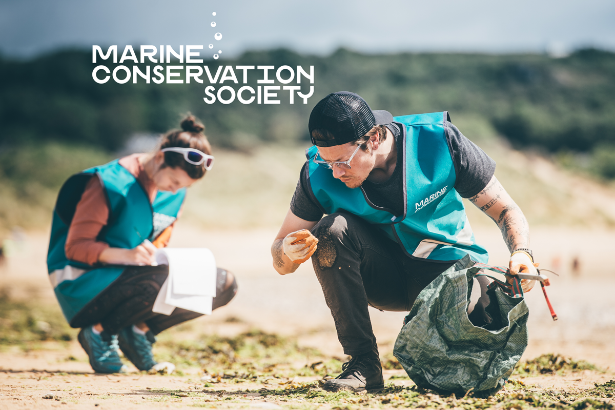 Spinnaker Watches: Meet the Marine Conservation Society | Milled
