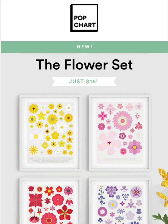 Pop Chart Lab: FLOWER POWER: *New* American Blooms Mini-Print Set | Milled
