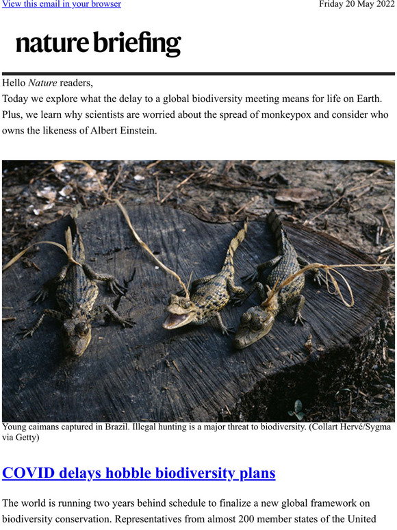 Nature: Why scientists are worried about monkeypox | Milled
