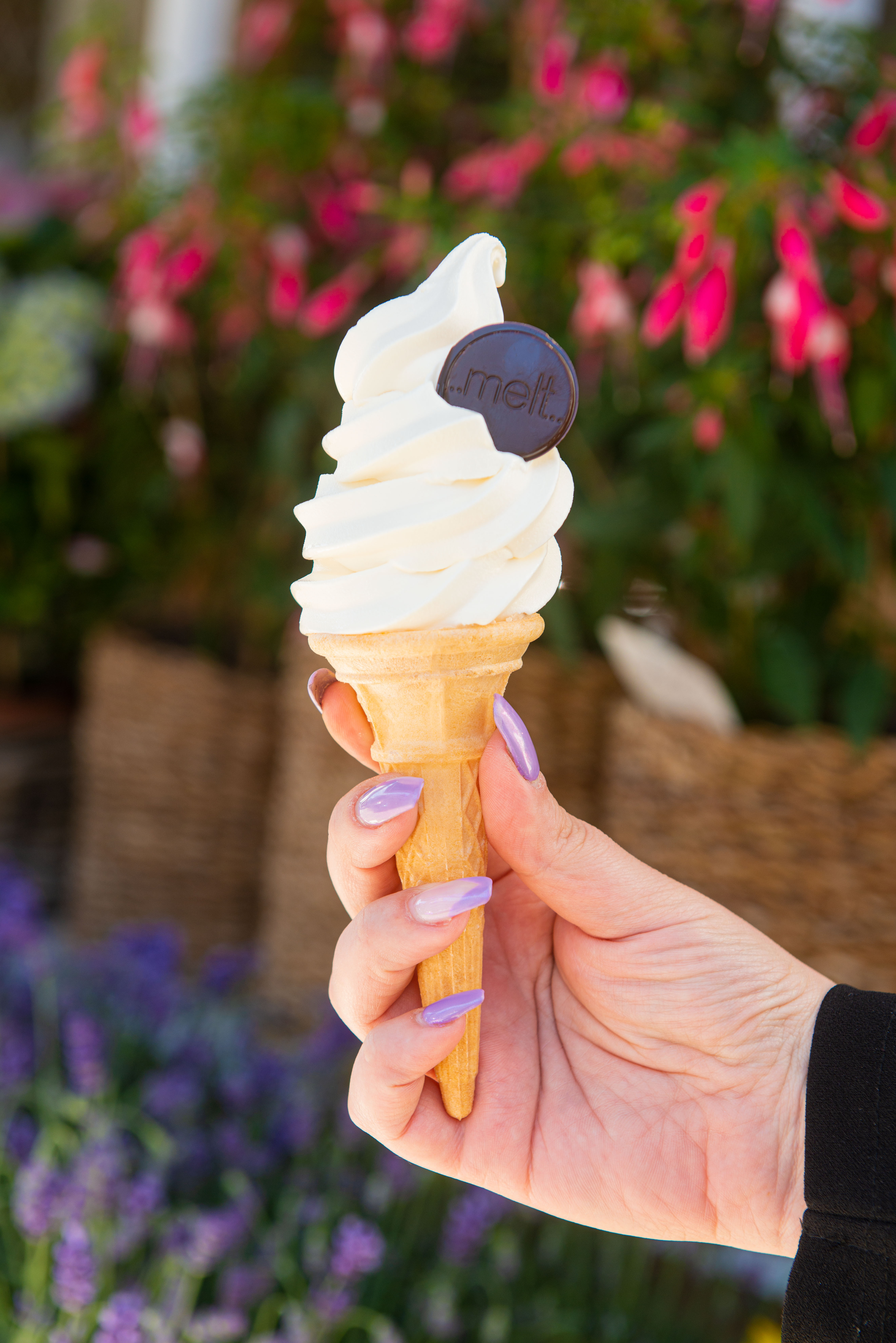 Melt: The worlds most beautiful cows | Milled