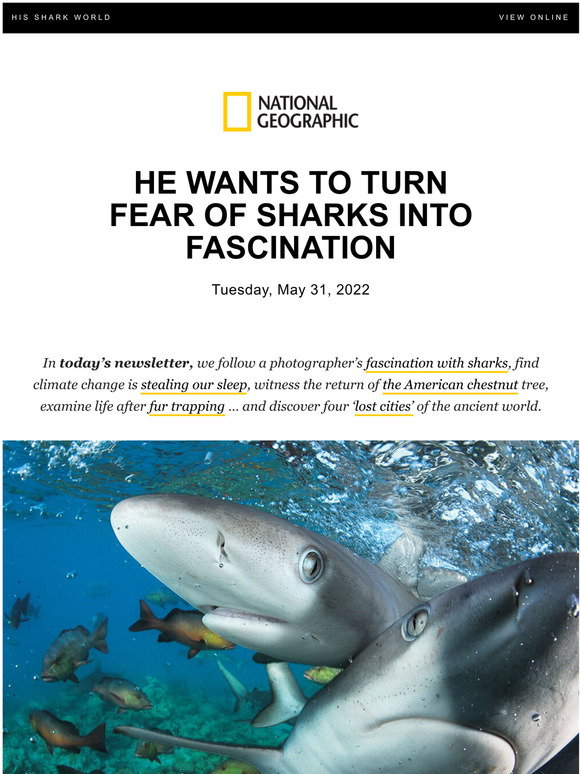 National Geographic: Sharks should fascinate, too | Milled