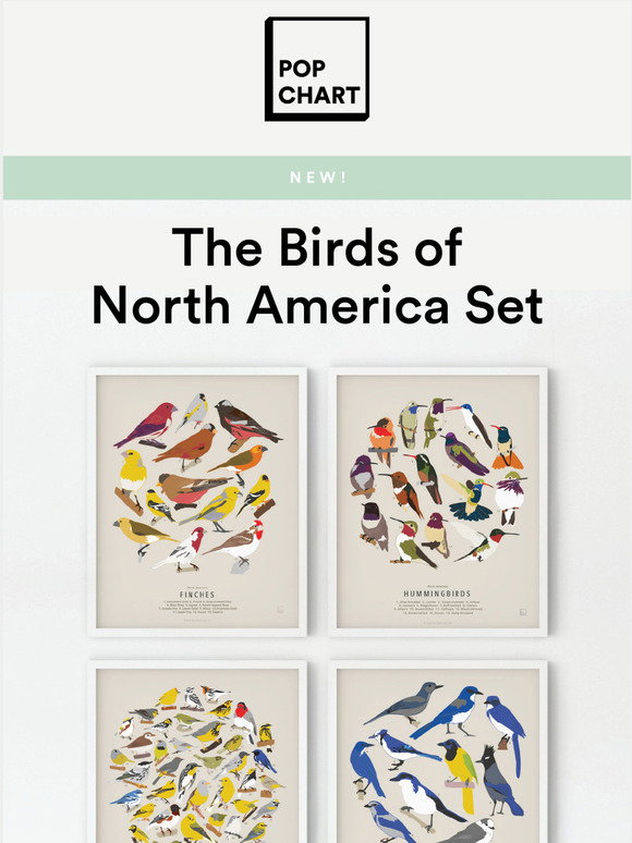 Pop Chart Lab: NEW Mini-Prints: Birds of North America | Milled