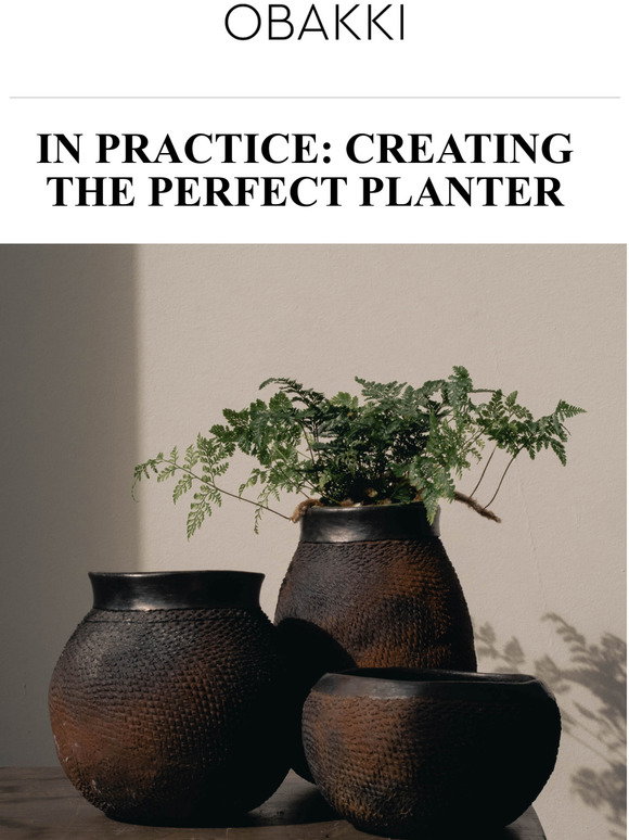 Obakki: Creating the Perfect Summer Planter | Milled