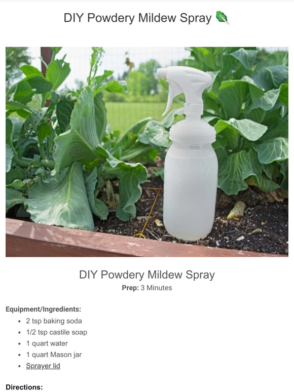 Mason Jars: DIY Spray to Combat Powdery Mildew in the Garden | Milled