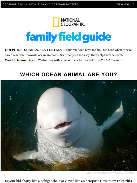 National Geographic: Save-the-ocean activities for kids | Milled