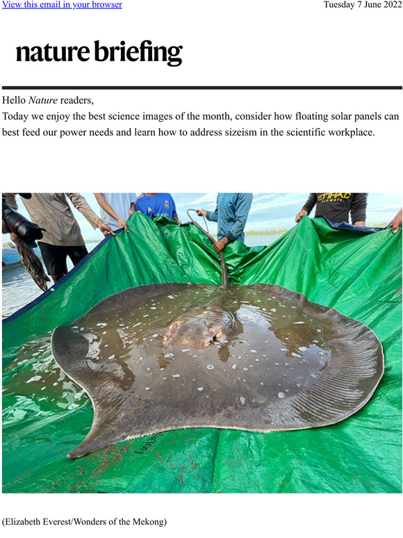 Nature: Giant stingray and alien doorway: the months best science ...