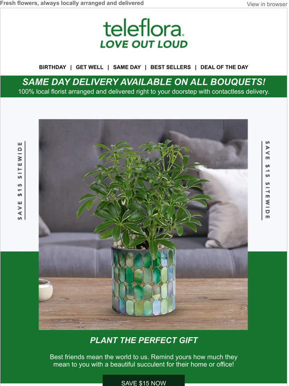 Teleflora: INSIDE: New Plants + Succulents 🌵 🌿 $15 Off | Milled