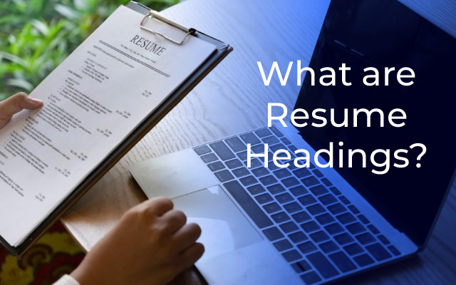 Skill Success: 👀What are Resume Headings? | Milled