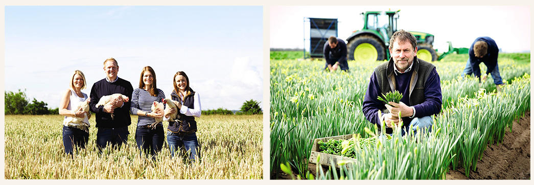 Aldi: An update from our CEO Giles Hurley | Milled