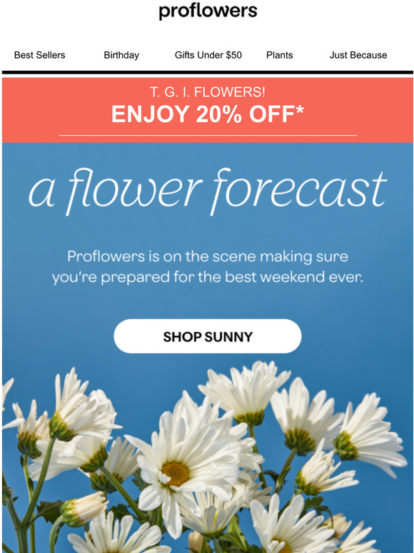 ProFlowers: your weekend bloom forecast ☀️ | Milled