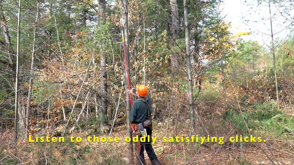 LockNLube: Is the NEW LimbZipper the best tree pruner ever? | Milled