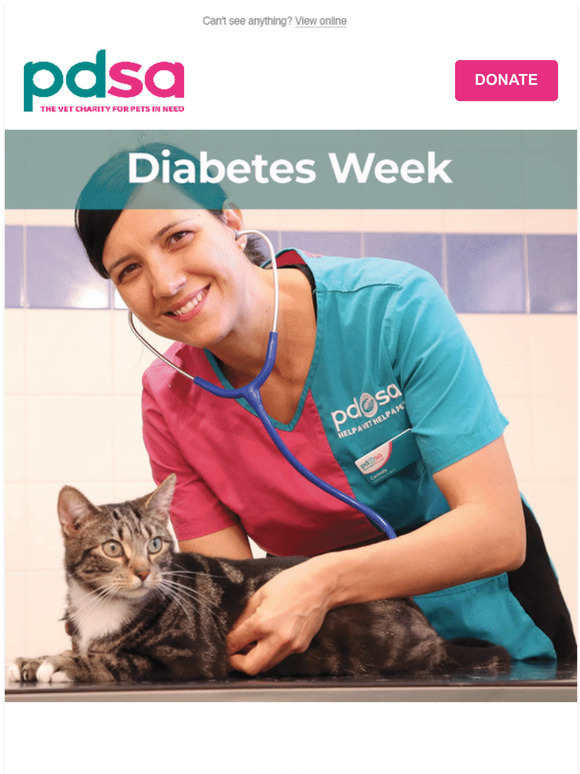 PDSA: Could you spot the signs of Diabetes? 🤔 🐾 | Milled