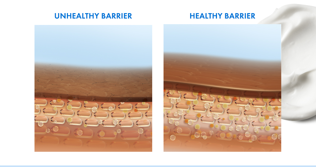 Skinfix: 🗒️The Skin Clinic: A Deep Dive into the Skin Barrier | Milled