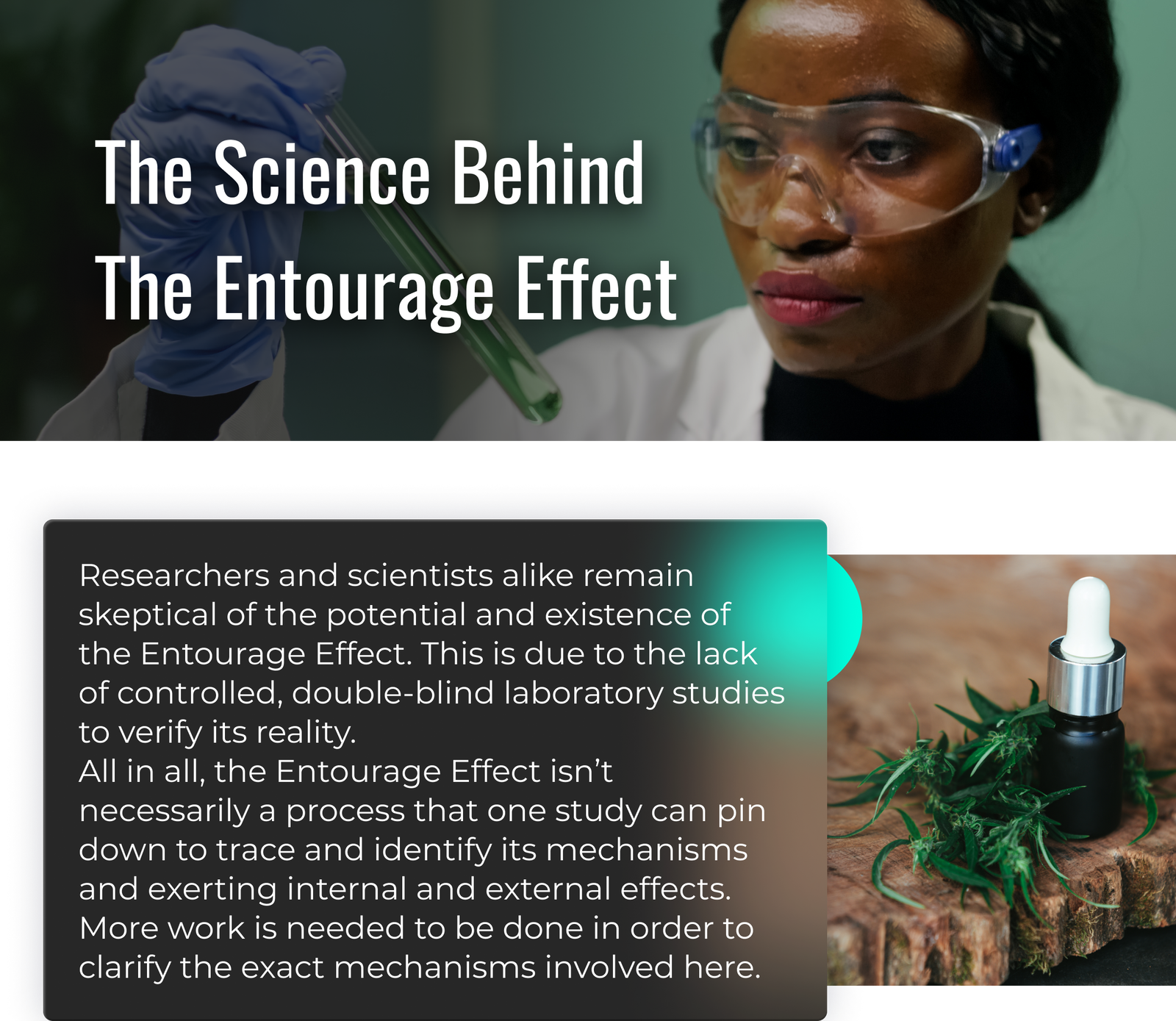 Nanocraft CBD: What is the Entourage Effect? | Milled