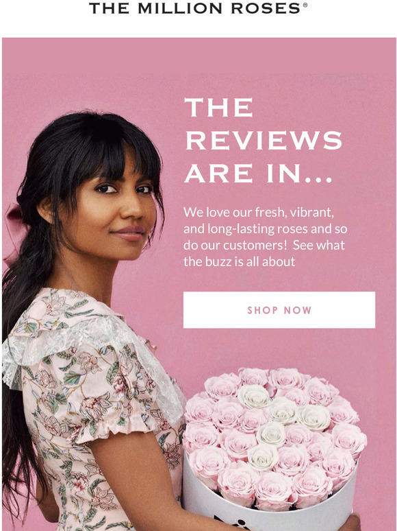 The Million Roses: The 5-Star Reviews Are In | Milled