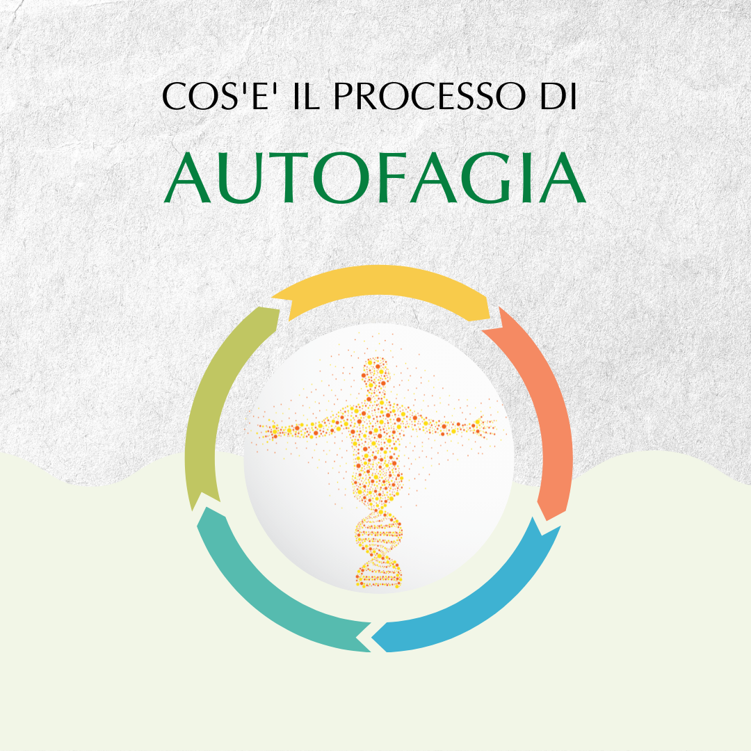 ProLon: Scopri il processo di Autofagìa 🌱 | Milled